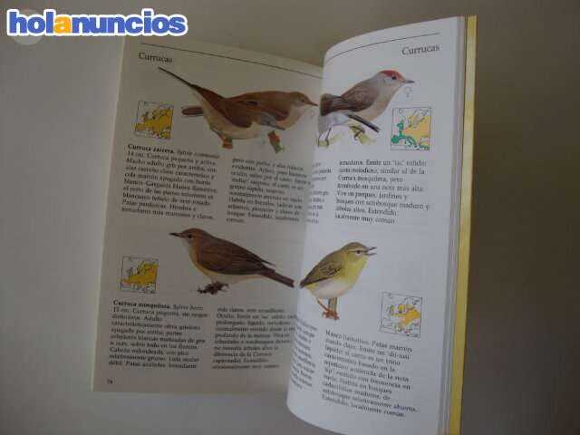 GUÍA CELESTE DE LAS AVES& JIM FLEGG - Libros